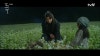 Tvn 드라마 촬영지 신탁커플 첫키스 장소메밀밭 네이버 블로그